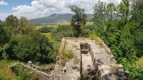 "הנזק לטבע יישאר לתמיד": מדוע מתעקש צה״ל להקים מתקן אימונים ענק בעין ...